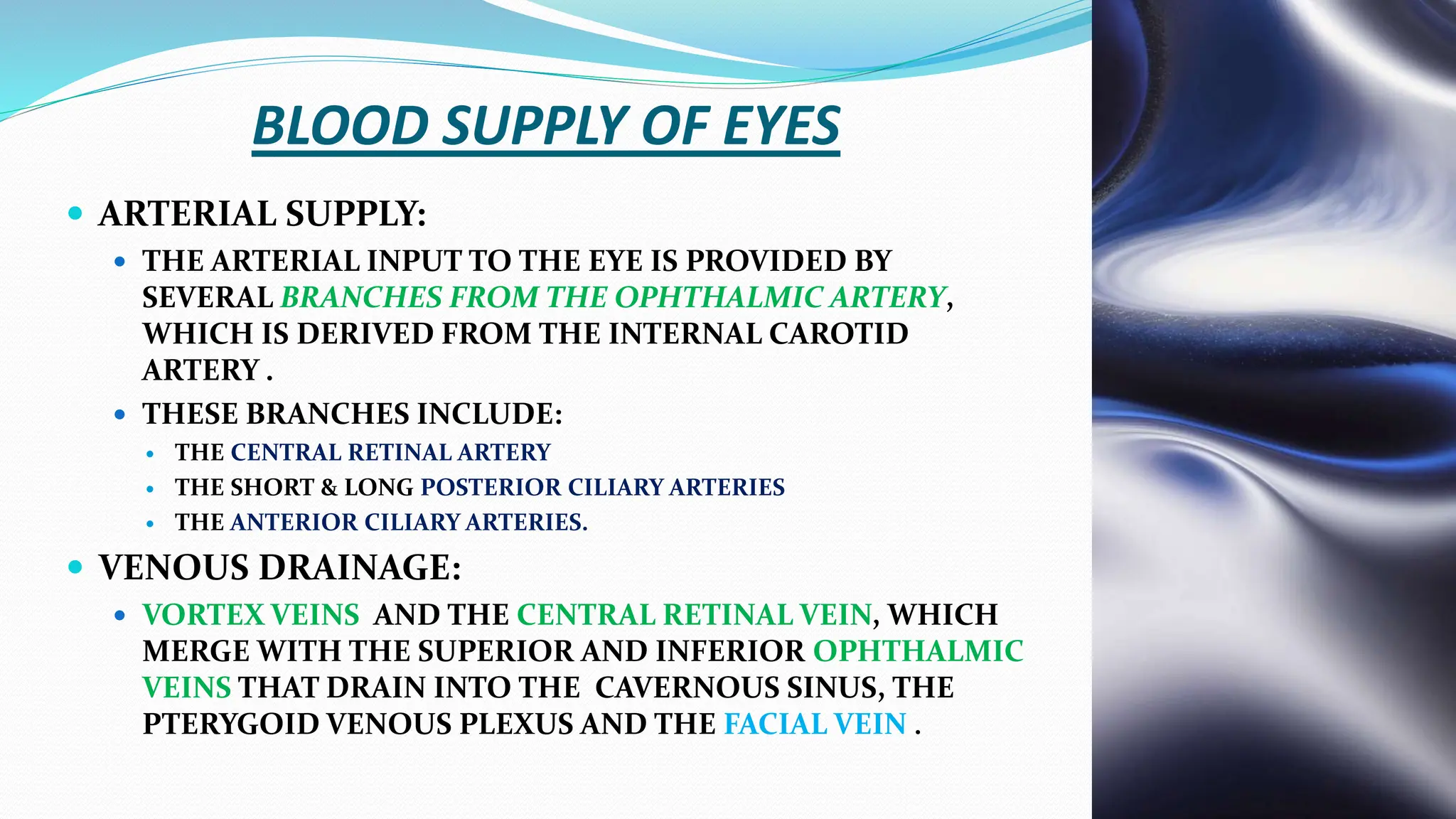 THE SENSE ORGANS - EAR & EYE/ INNER EAR/EYE BALL/ COCHLEA | PPT
