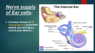 THE SENSE ORGANS - EAR & EYE/ INNER EAR/EYE BALL/ COCHLEA | PPT