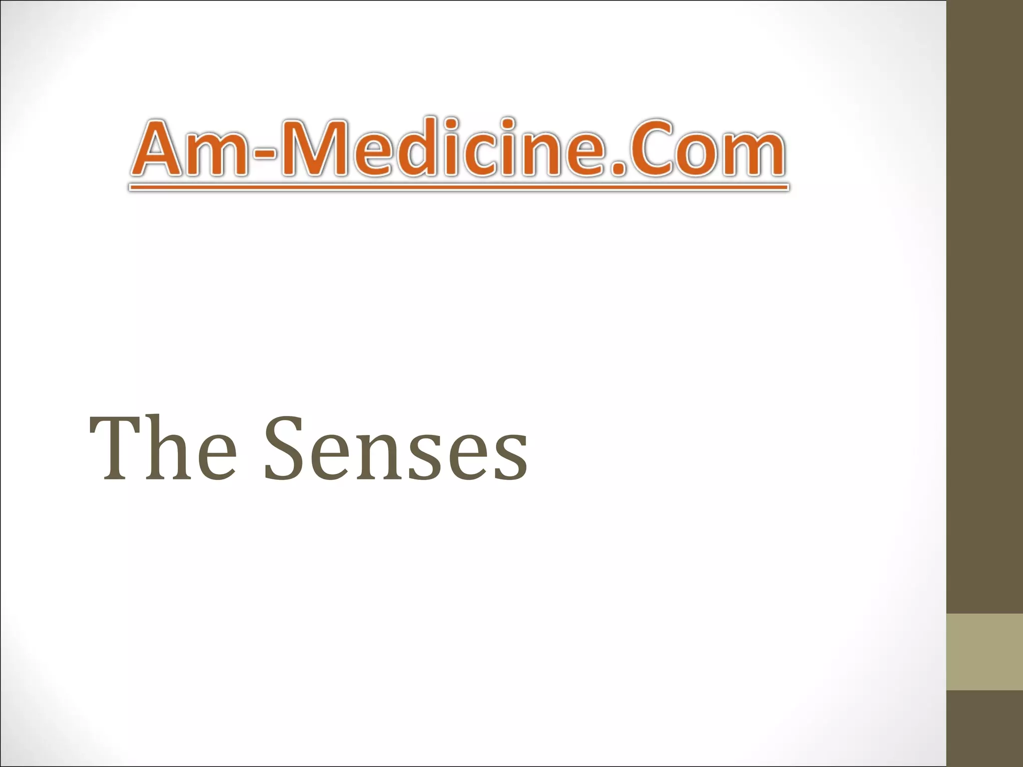 Anatomy & Physiology Lecture Notes - The senses | PPT