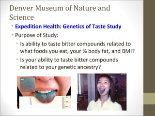 Anatomy & Physiology Lecture Notes - The senses | PPT