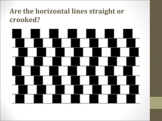 Anatomy & Physiology Lecture Notes - The senses | PPT