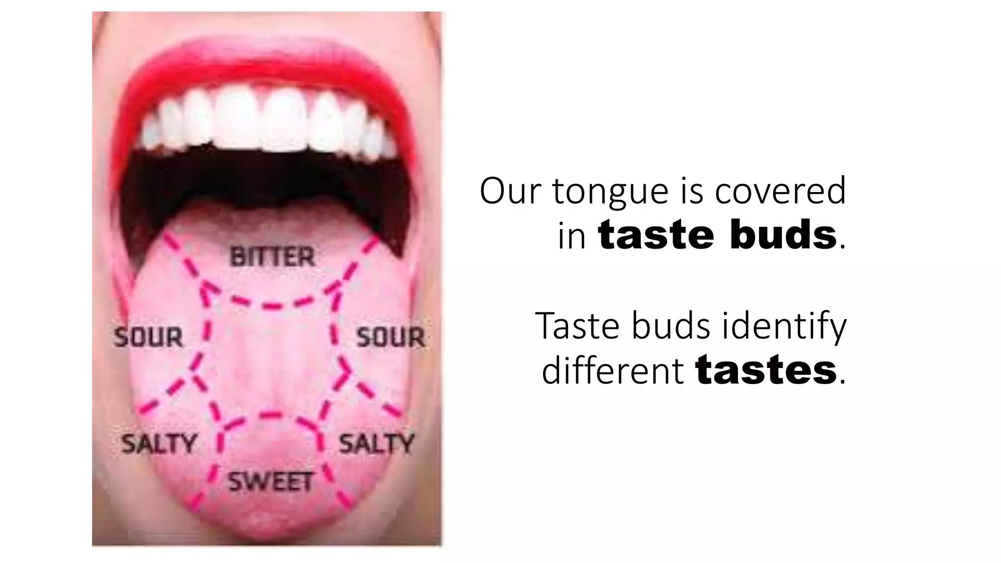 The senses year 3 | PPTX