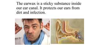 The senses year 3 | PPT