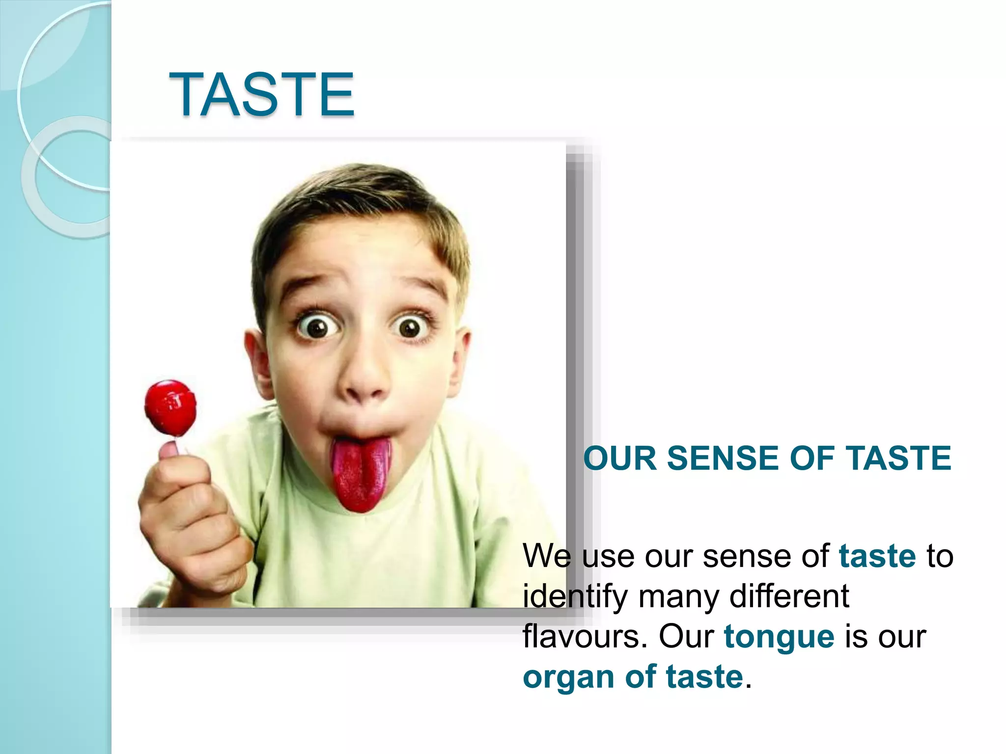 THE FIVE SENSES | PPTX