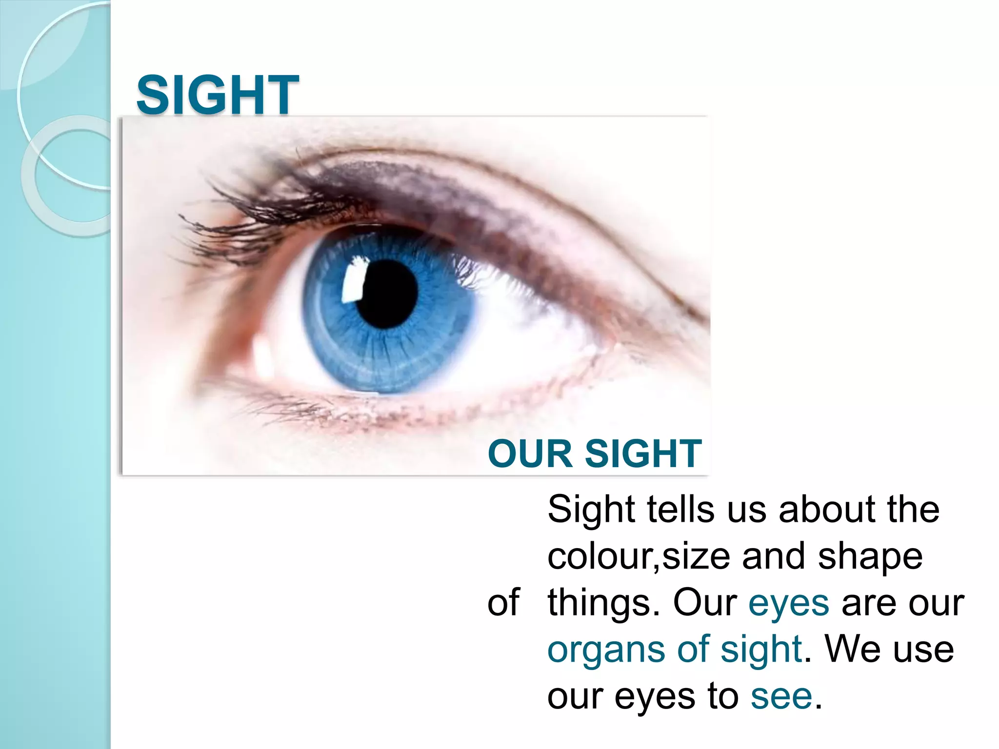 THE FIVE SENSES | PPTX