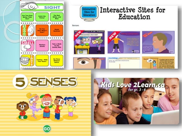 THE FIVE SENSES | PPT