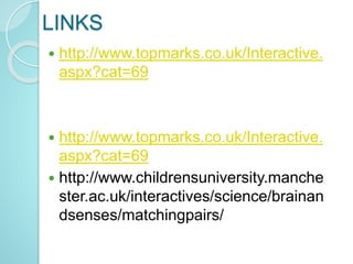 THE FIVE SENSES | PPT