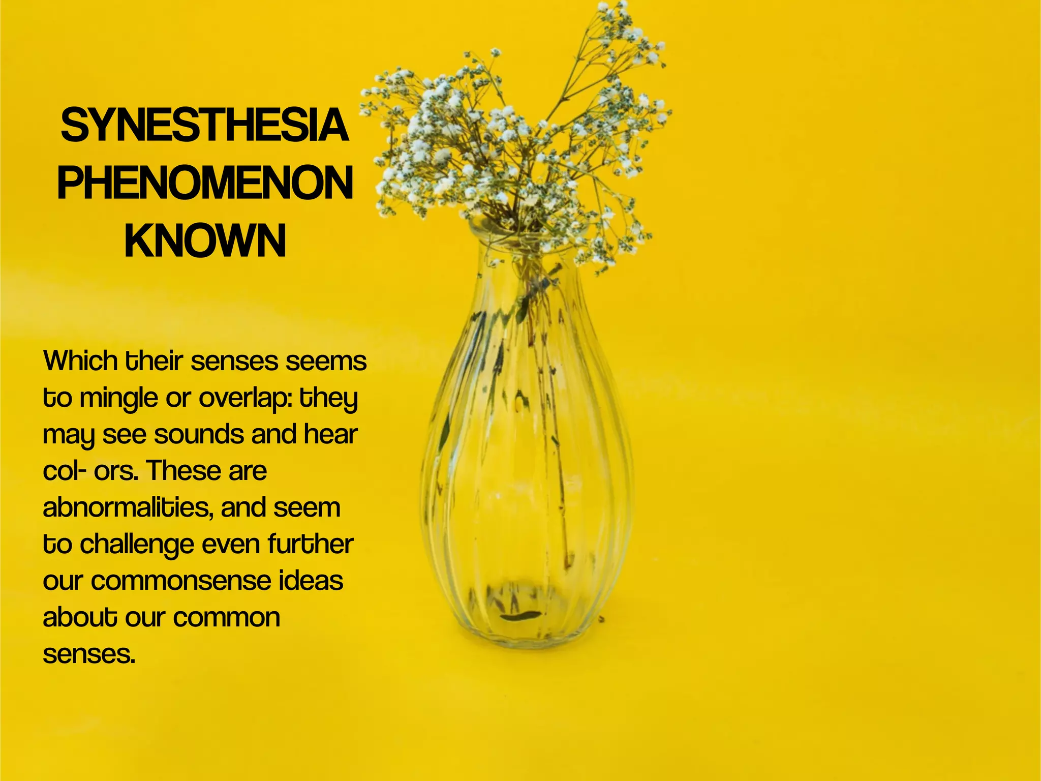 The Senses. Based on THE ELEMENT.KEN ROBINSON. | PPT