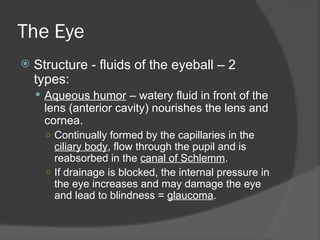 Presentation on the Senses of - the body | PPT