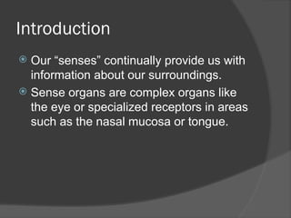 Presentation on the Senses of - the body | PPT