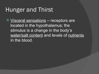 Presentation on the Senses of - the body | PPT