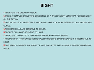 The sensorial organs | PPT