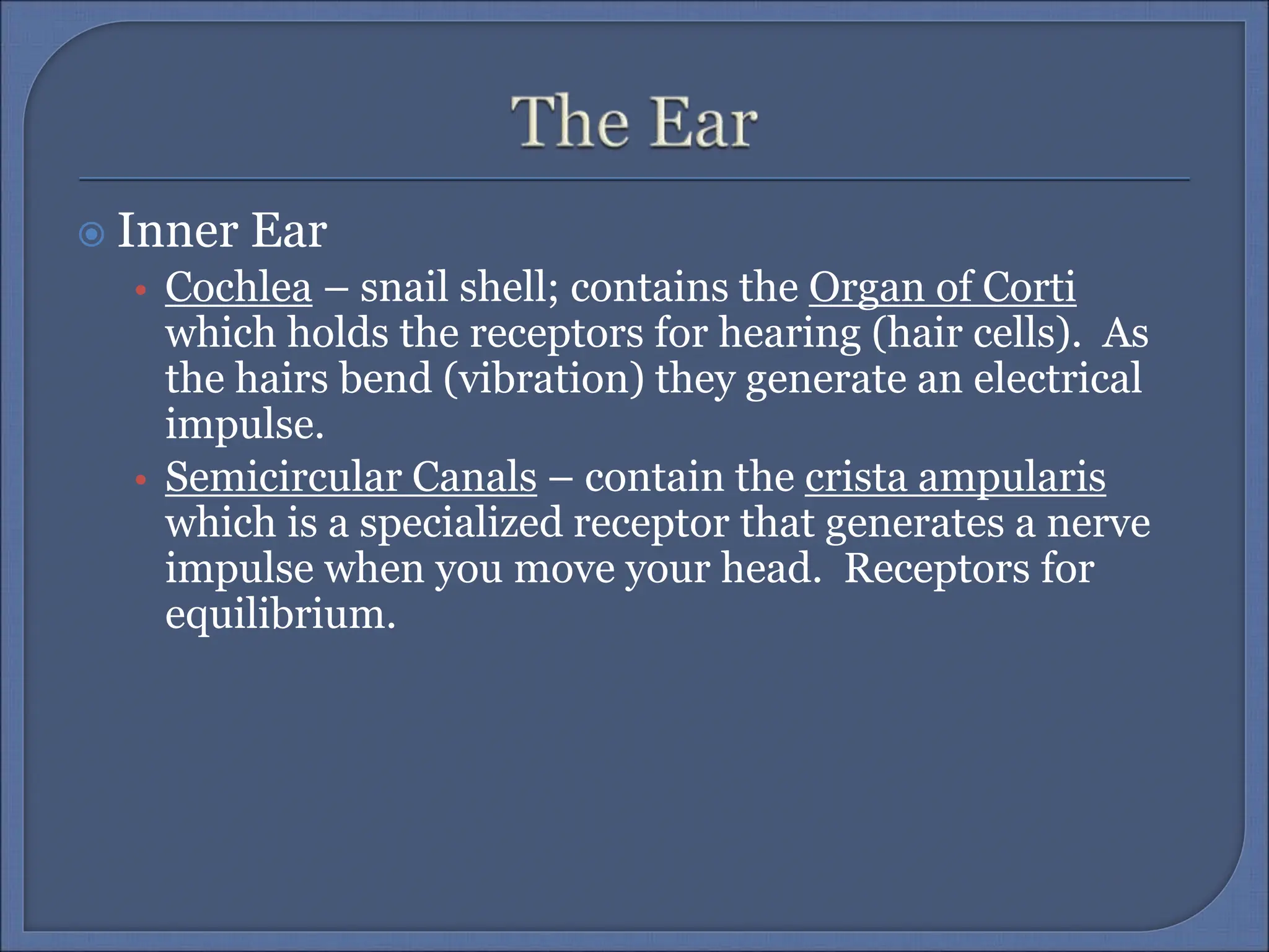 The Sensory Organs, Anatomy and Function | PPT