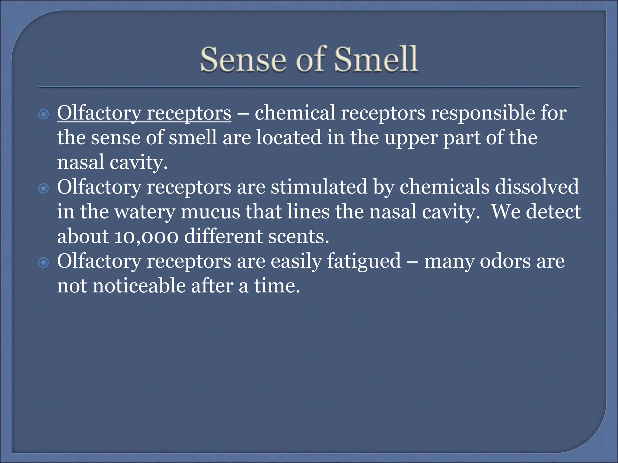 The Sensory Organs, Anatomy and Function | PPT