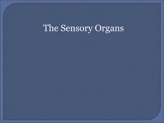 The Sensory Organs, Anatomy and Function | PPT