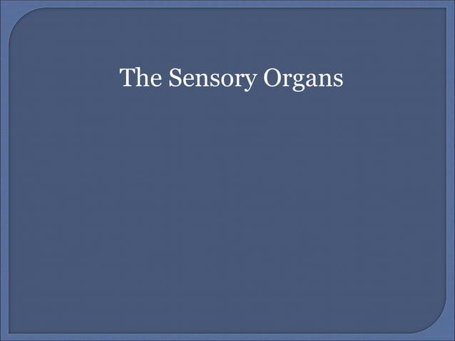 The Sensory Organs, Anatomy and Function | PPT | Eye and Vision ...