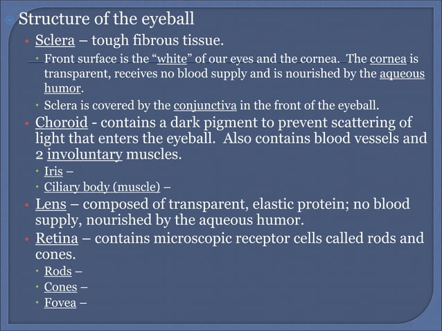 The Sensory Organs, Anatomy and Function | PPT | Eye and Vision ...
