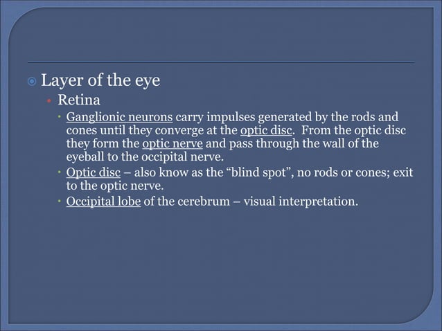 The Sensory Organs, Anatomy and Function | PPT | Eye and Vision ...