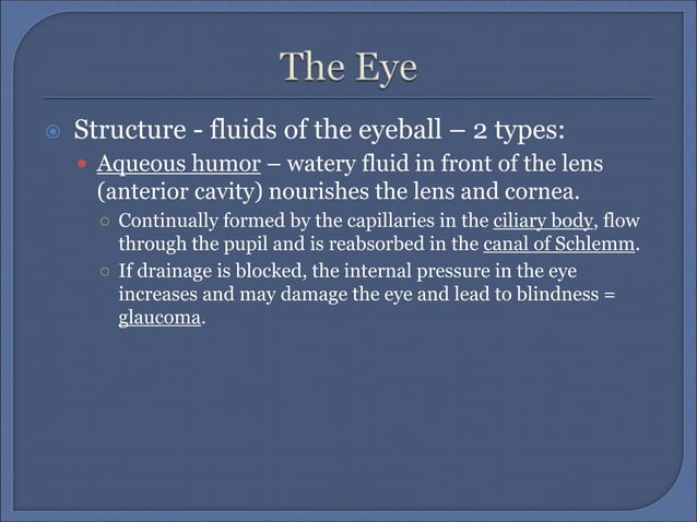 The Sensory Organs, Anatomy and Function | PPT | Eye and Vision ...