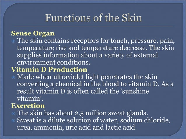 The Sensory Organs, Anatomy and Function | PPT | Eye and Vision ...