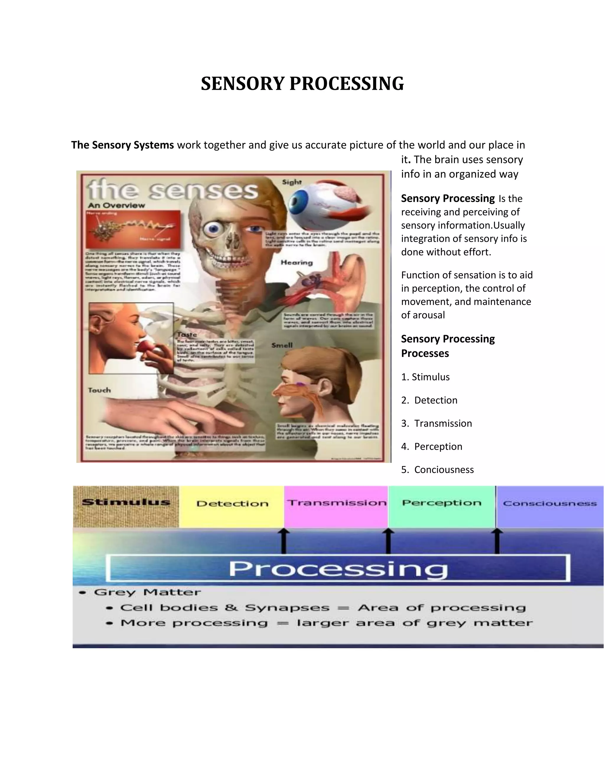 The sensory processing | DOCX
