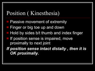 NurseReview.Org - The Sensory System | PPT