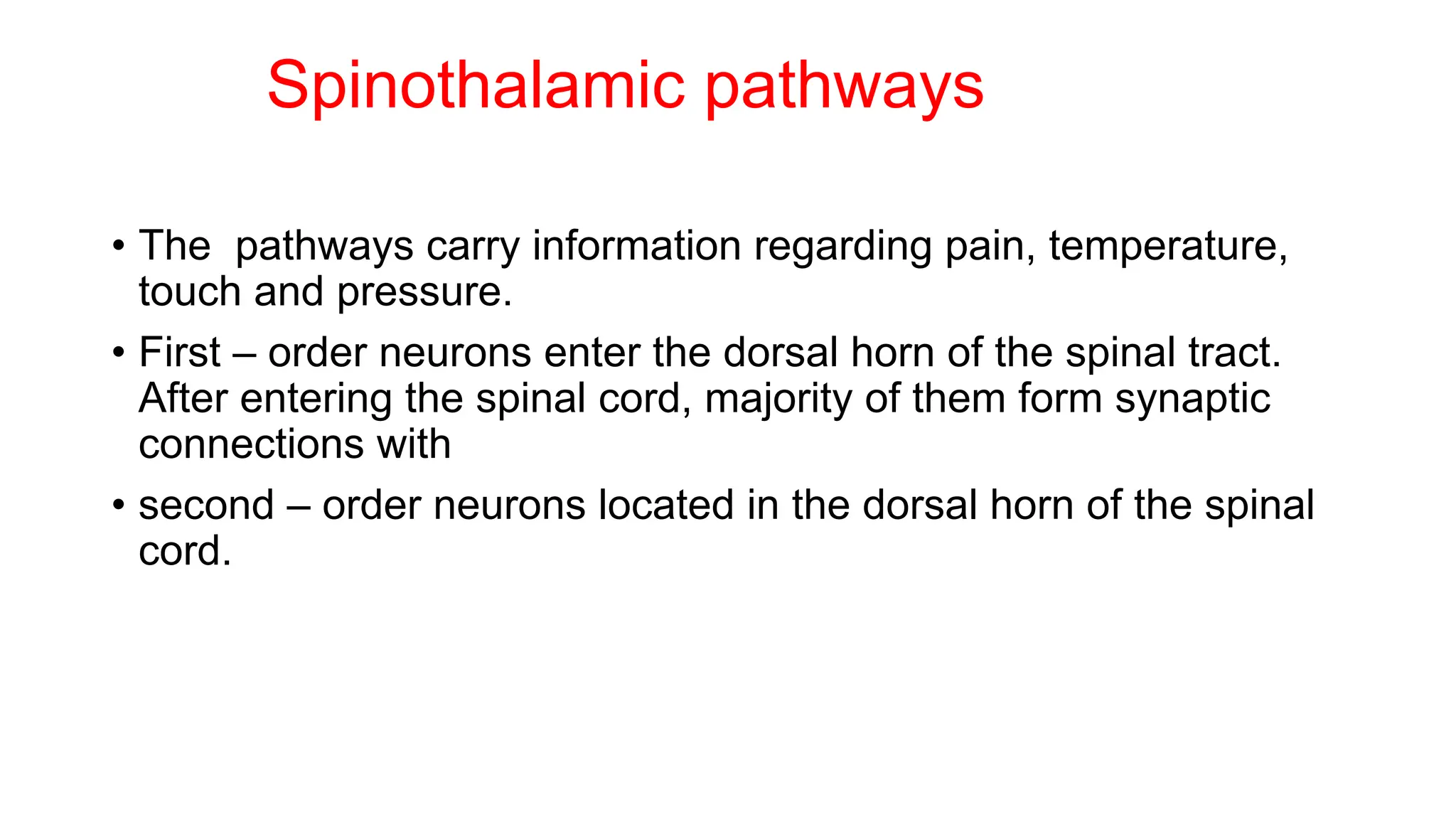 Physiology of the sensory system and pain. pdf | PDF