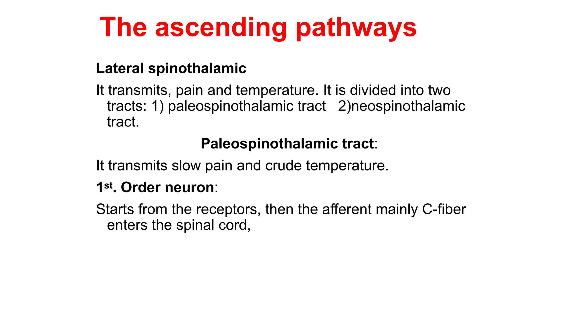 Physiology of the sensory system and pain. pdf | PDF