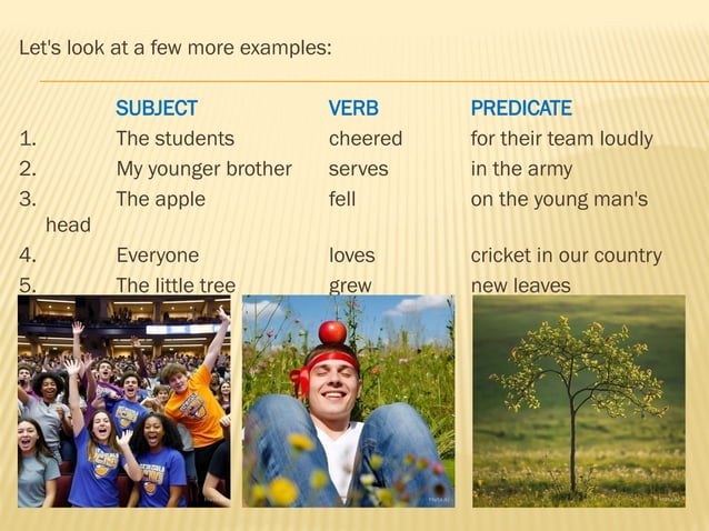 THE SENTENCE........................pptx