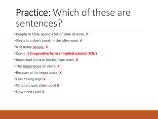 The Sentence and the Phrase presentation.pdf