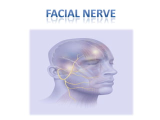 The Seventh Cranial Nerve | PPTX