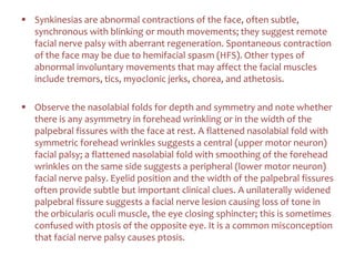 The Seventh Cranial Nerve | PPTX