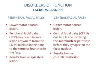 The Seventh Cranial Nerve | PPTX
