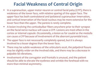 The Seventh Cranial Nerve | PPTX