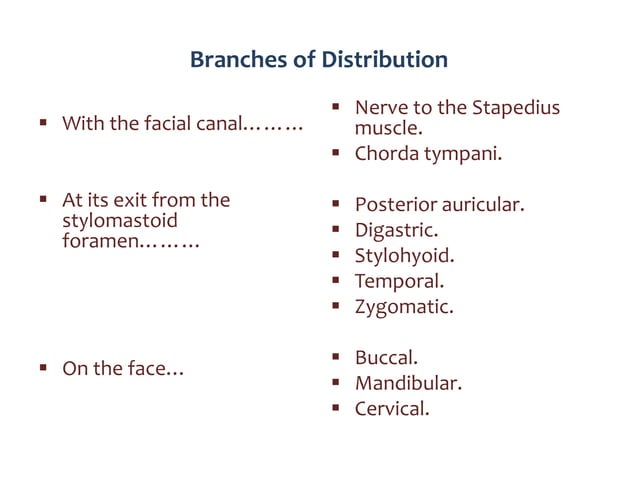 The Seventh Cranial Nerve | PPTX