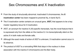 The sex chromosomes and their abnormalities | PPT