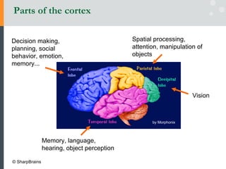 The SharpBrains Guide to Brain Fitness (book presentation) | PPT
