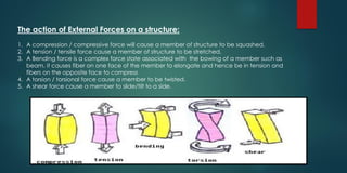 The shell structure system | PDF