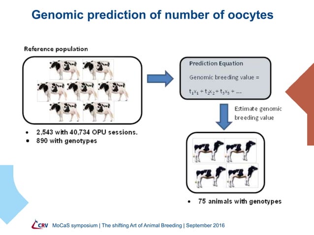 The shifting art of animal breeding | PPTX