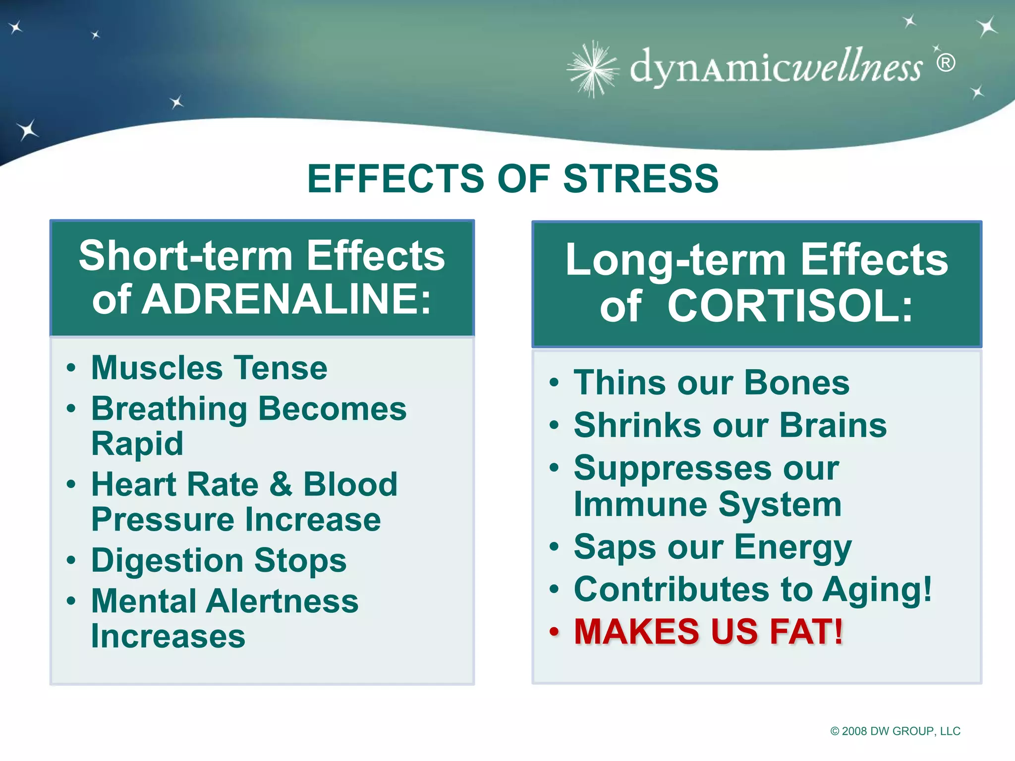 The Short Story of Stress | PPTX