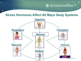 The Short Story of Stress | PPTX