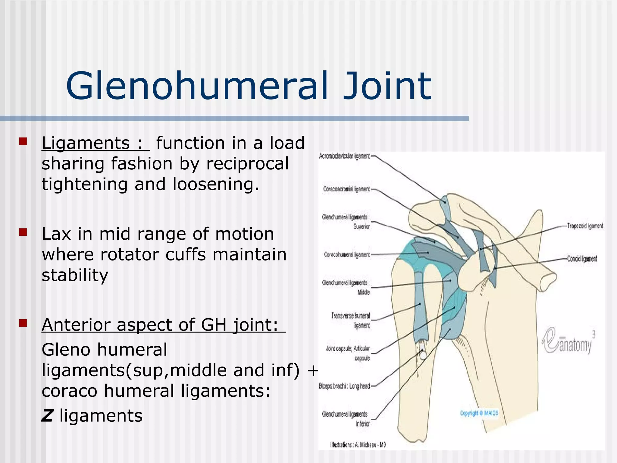 Examination of shoulder joint | PPT