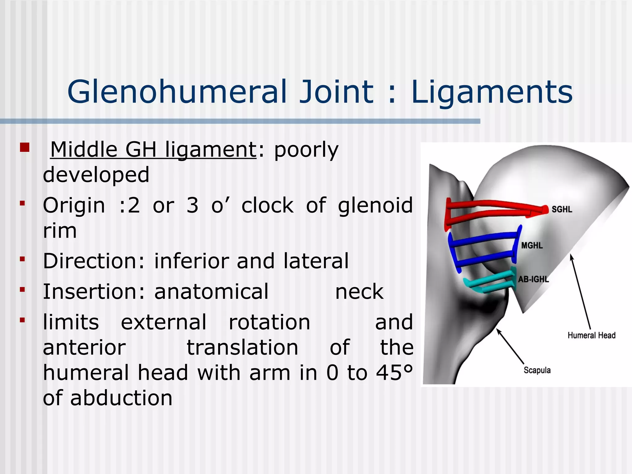 Examination of shoulder joint | PPT