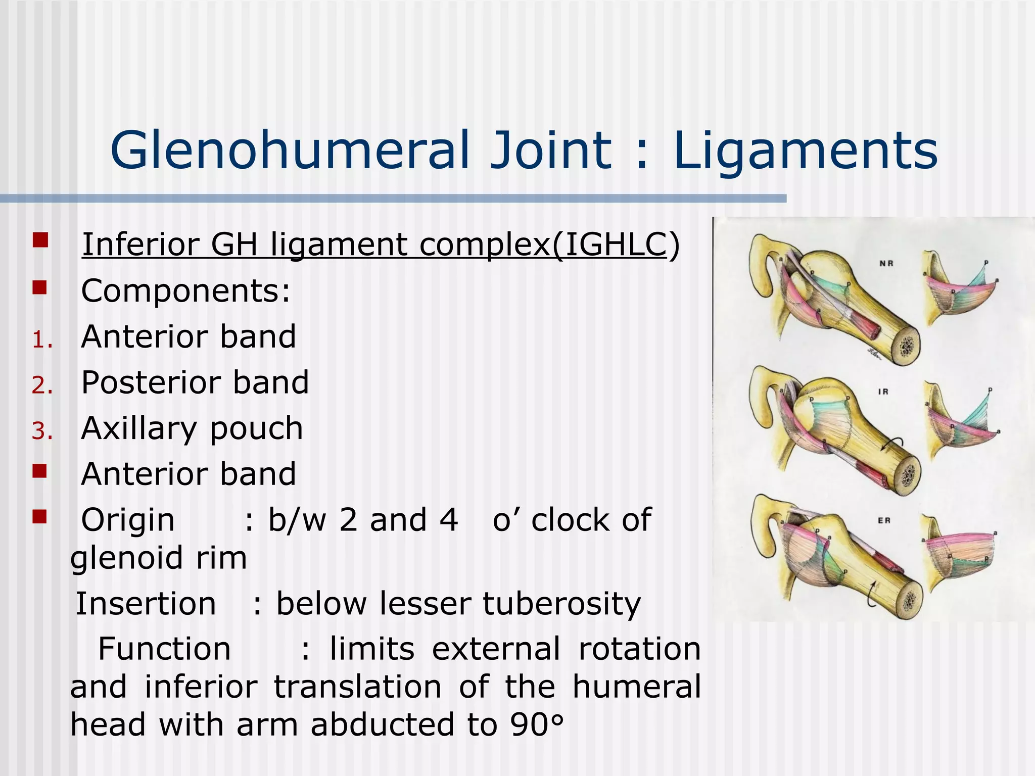 Examination of shoulder joint | PPT
