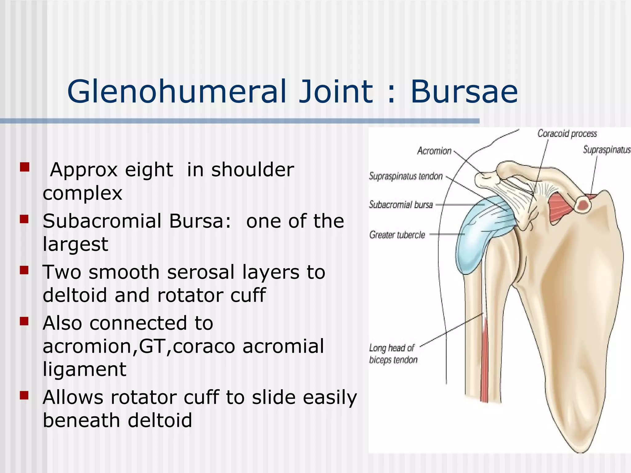 Examination of shoulder joint | PPT