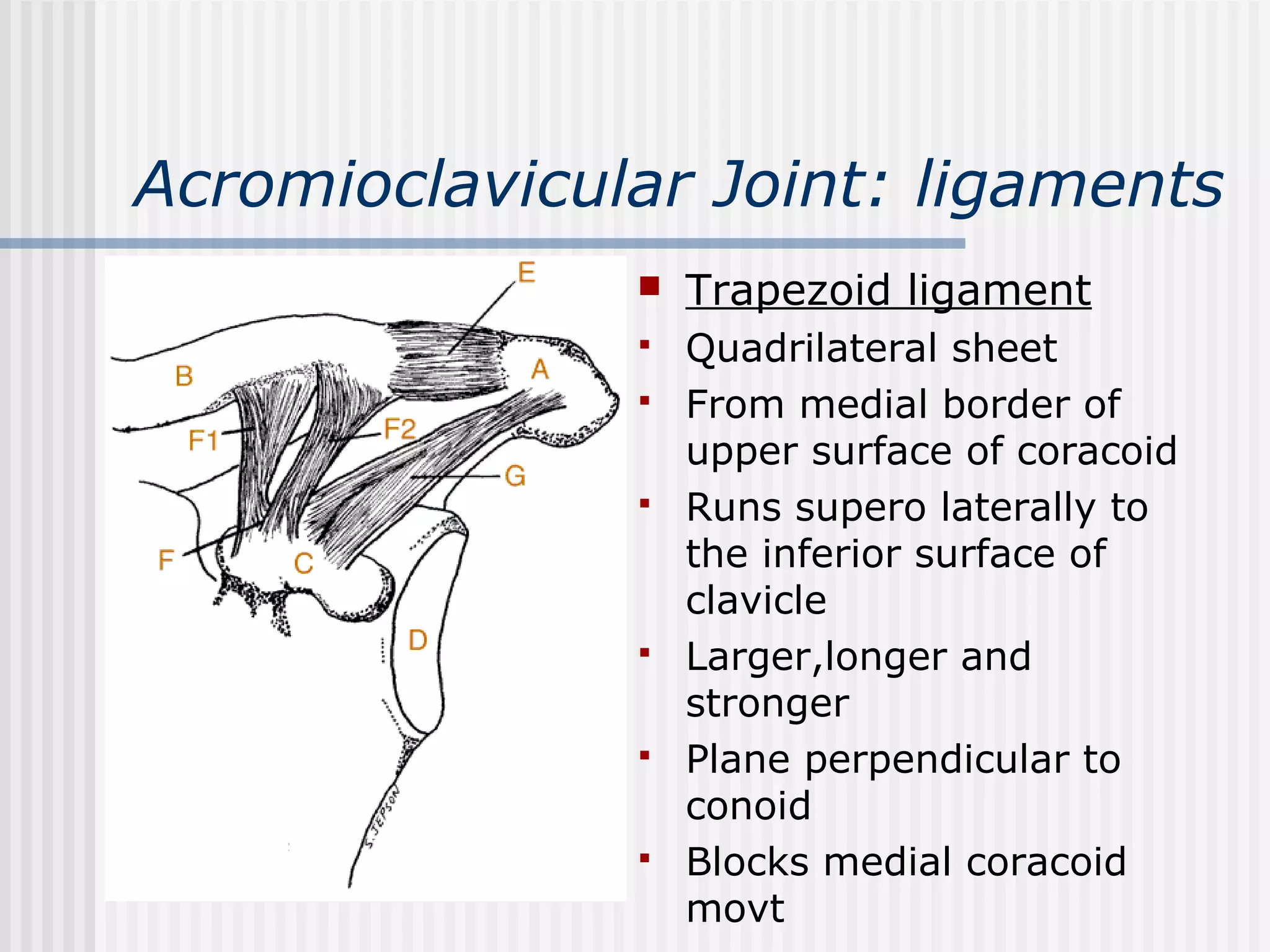 Examination of shoulder joint | PPT