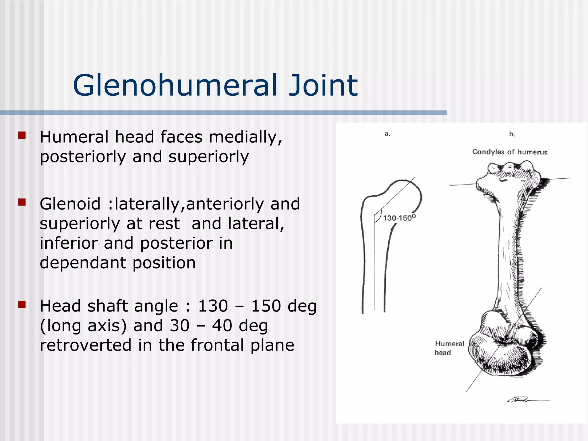 Examination of shoulder joint | PPT