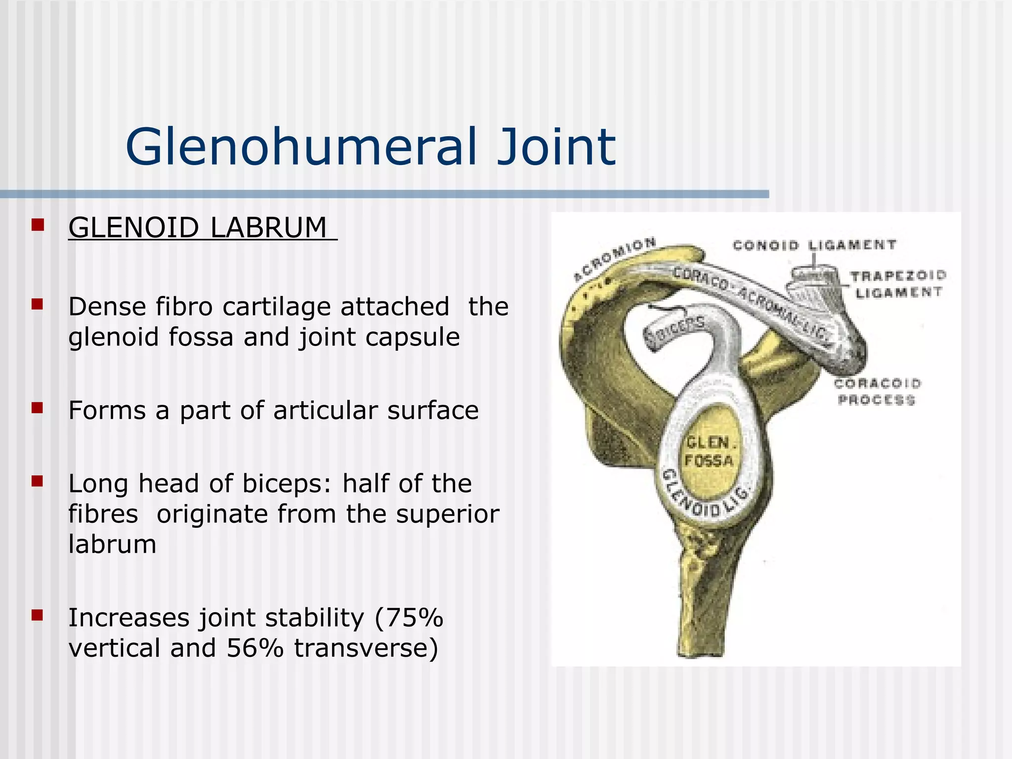 Examination of shoulder joint | PPT