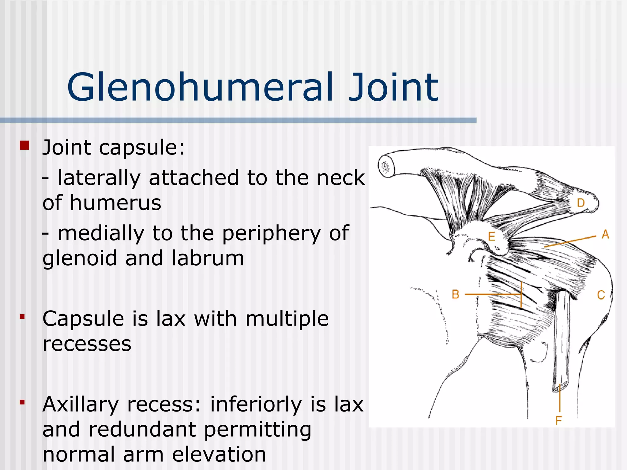 Examination of shoulder joint | PPT