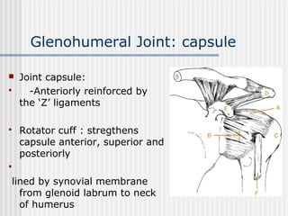 Examination of shoulder joint | PPT